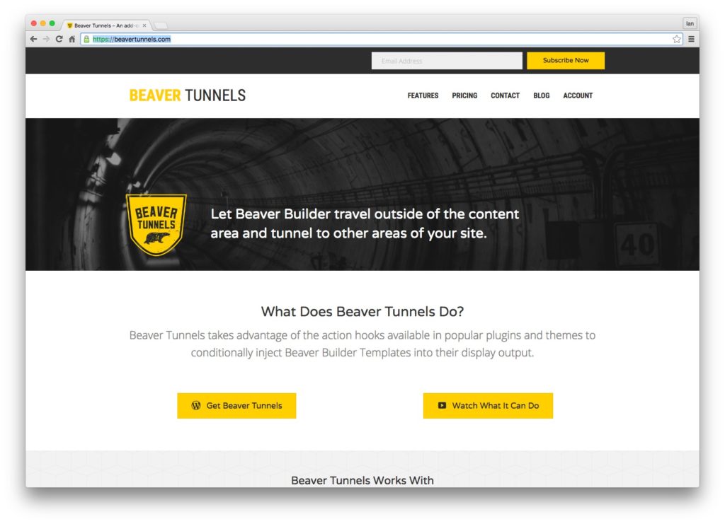 beaver tunnels – Beaver Brains